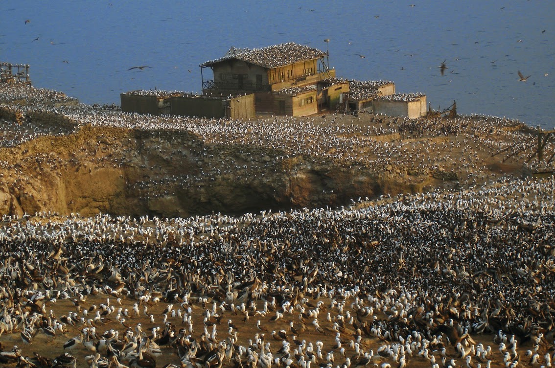 Just Travel: PUERTO MALABRIGO