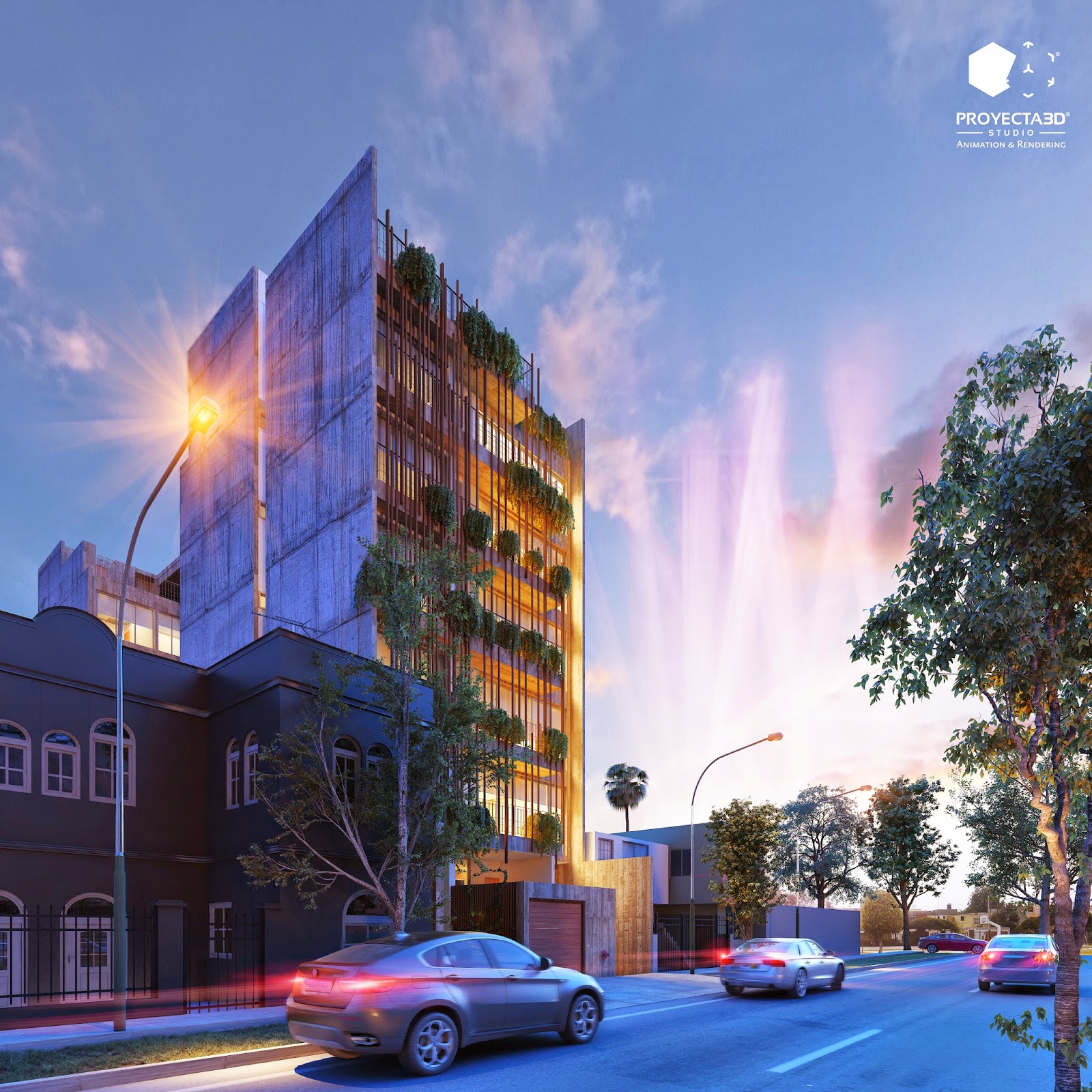 Proyecto Madre Selva