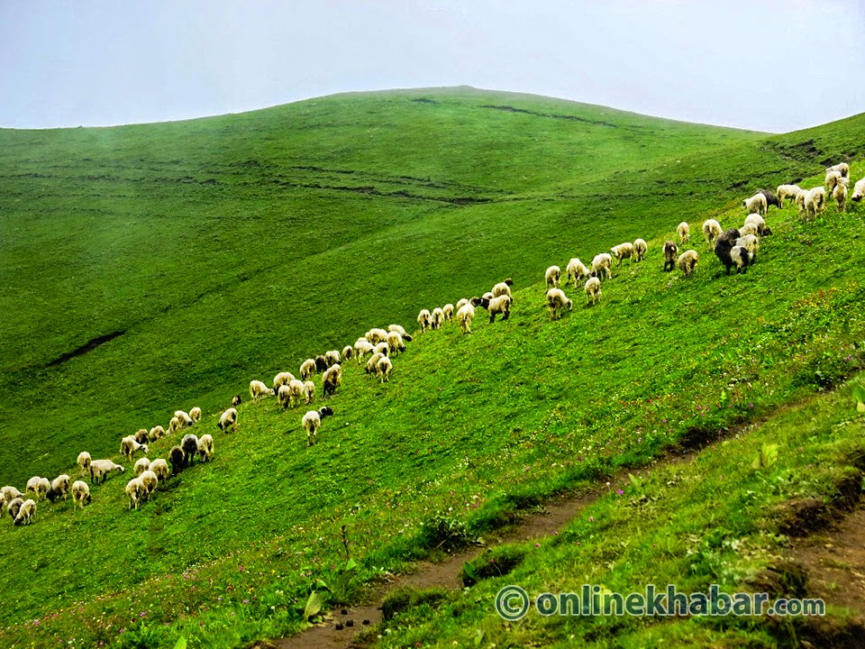 Journey to Badimalika, Bajura (Photo feature)