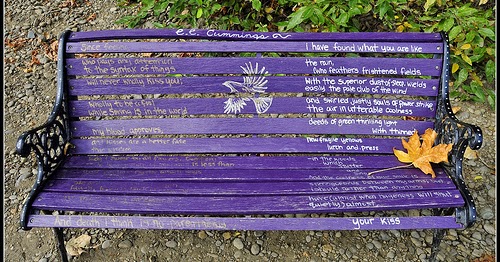benchsite: Poetry Please - benches for National Poetry Day