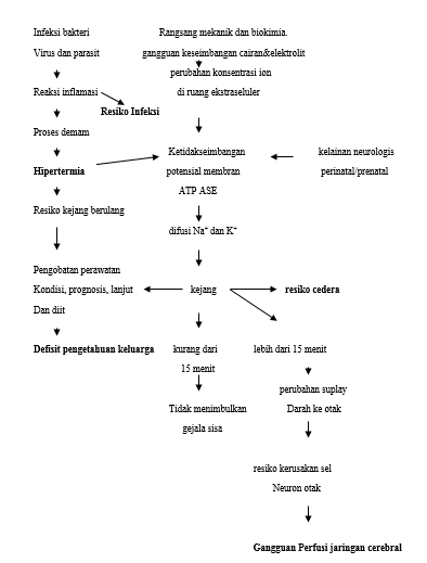 LAPORAN PENDAHULUAN (LP) KEJANG DEMAM