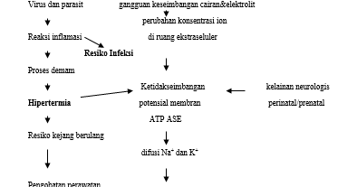 LAPORAN PENDAHULUAN (LP) KEJANG DEMAM