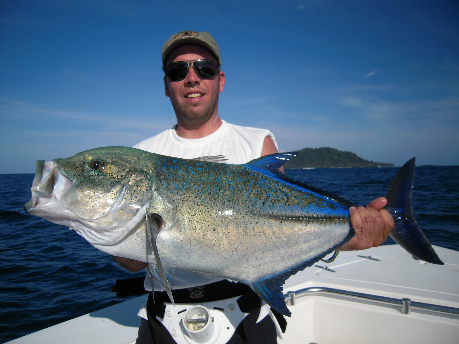 CHARTER DE PESCA EN PANAMA