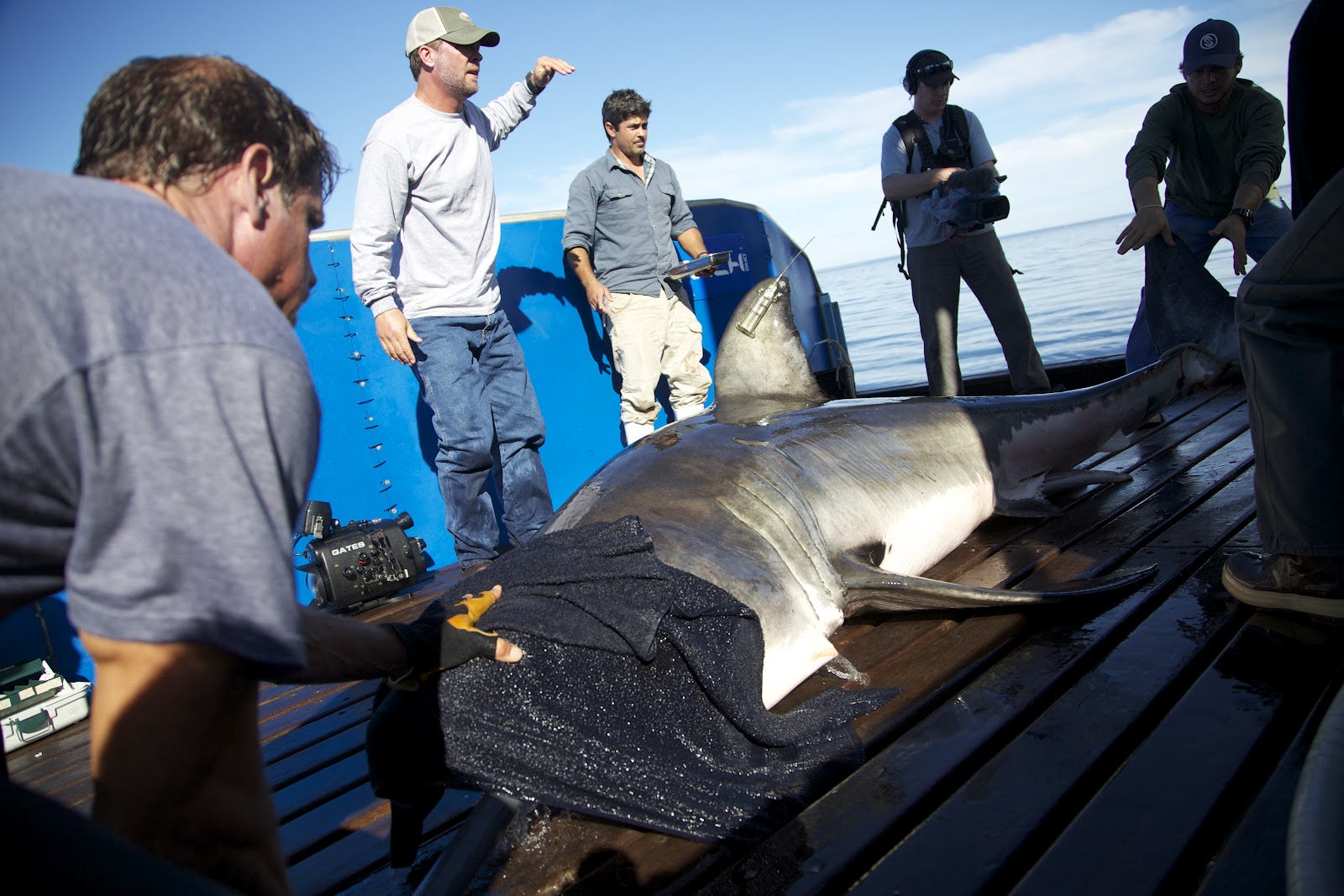 Time between waves: Interview with Chris Fischer of Ocearch