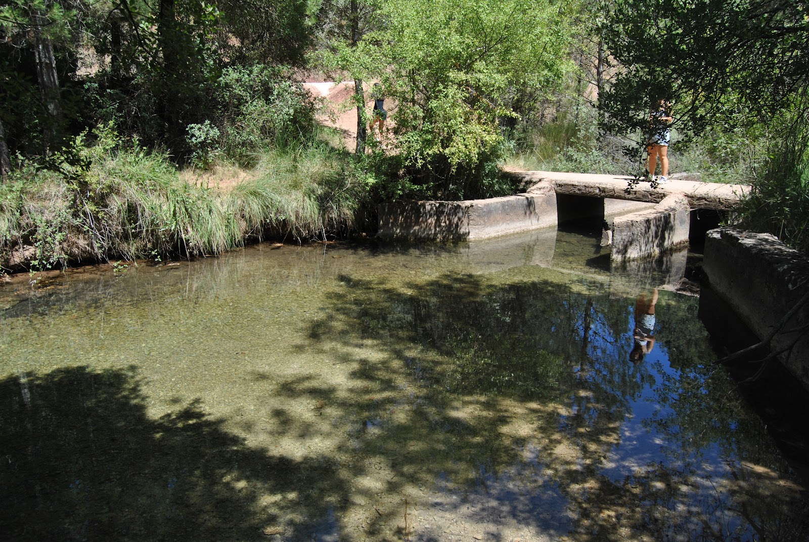 Excursiones por "el Mundo" ..... Riópar y la Sierra del Segura: Por el ...