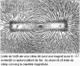 Campul Magnetic: Campul magnetic.