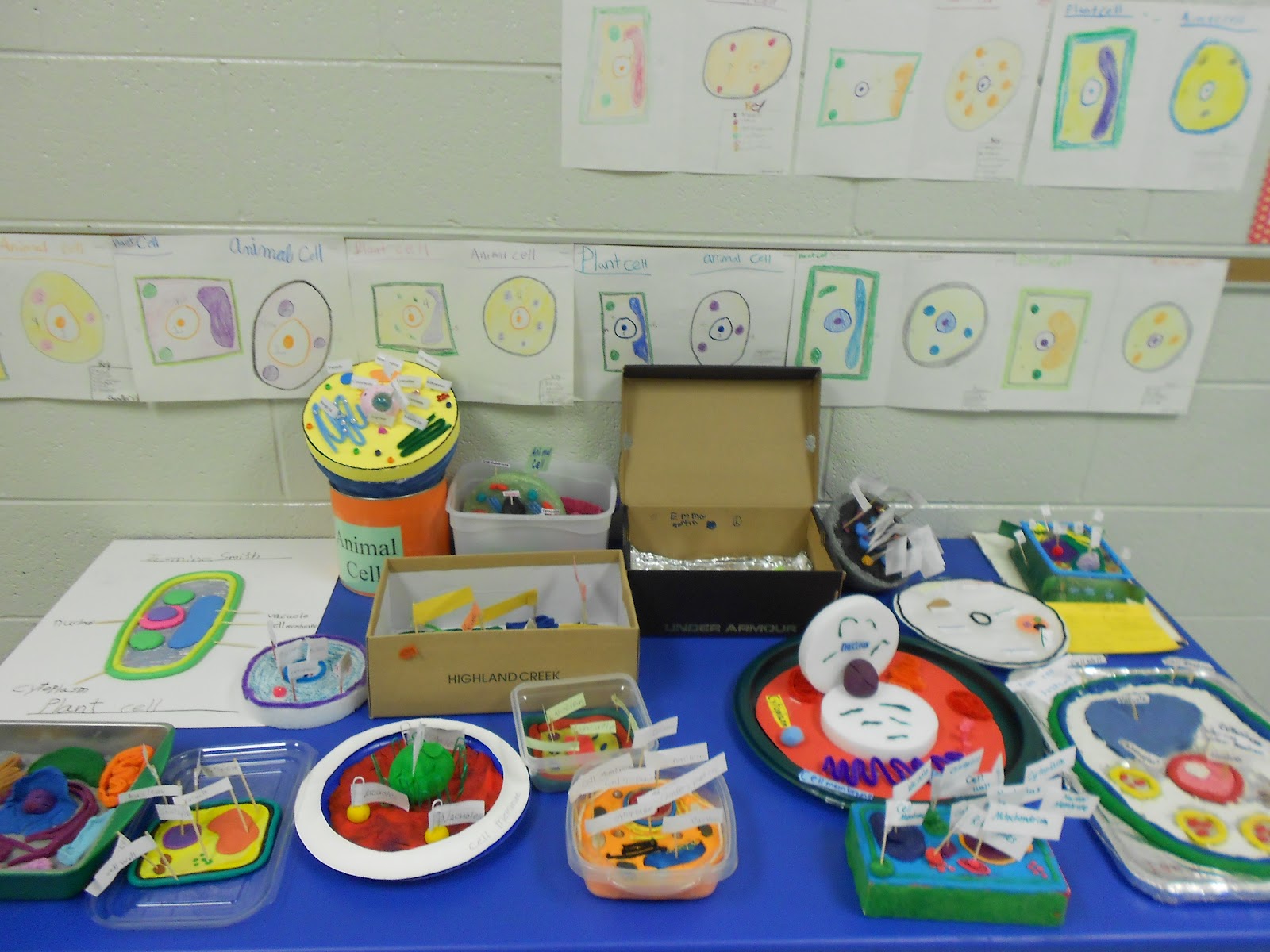 Mrs. McDonald's 4th Grade: Make a Cell Model Project