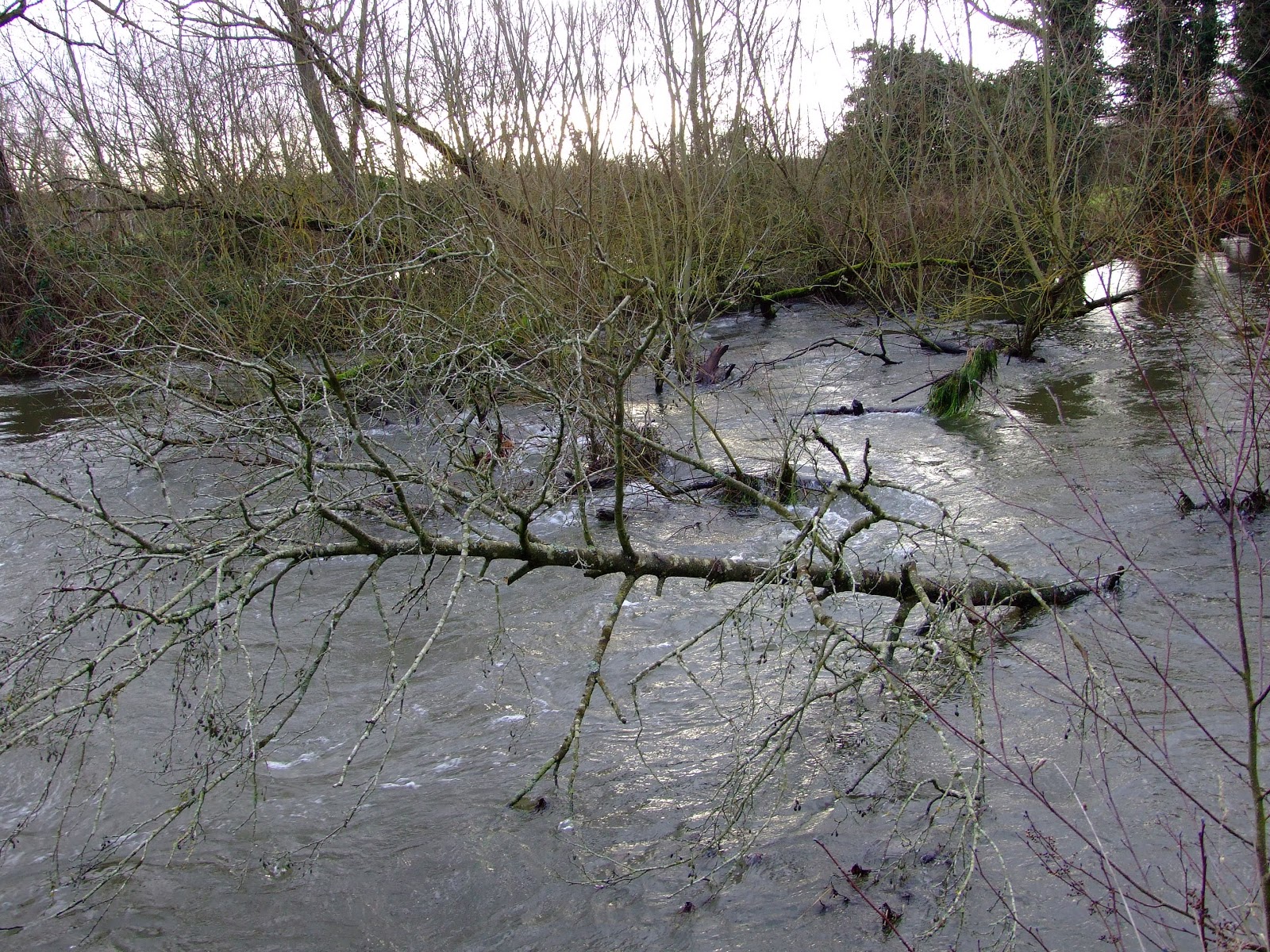 Canoeing and Kayaking on The River Kennet: Water levels up and down the ...