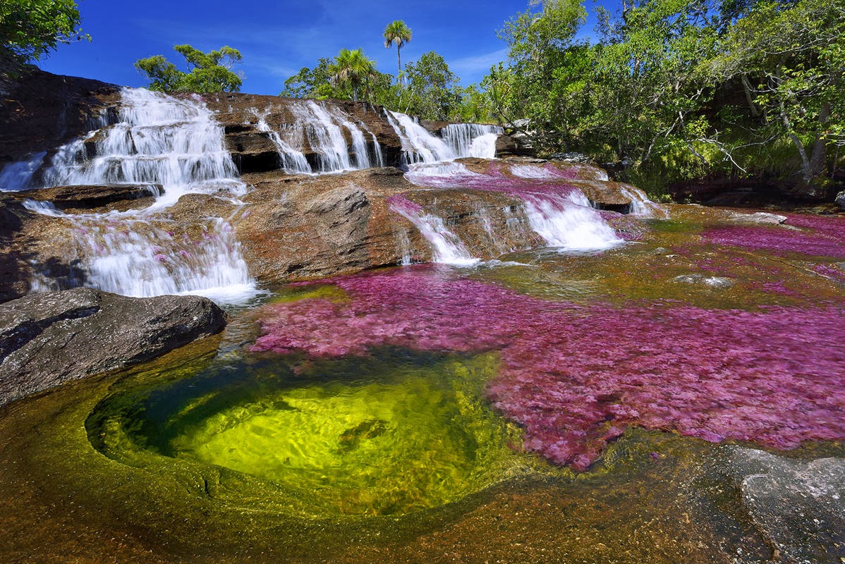 The Travel Bug: The Beautiful River of Five Colors in Columbia