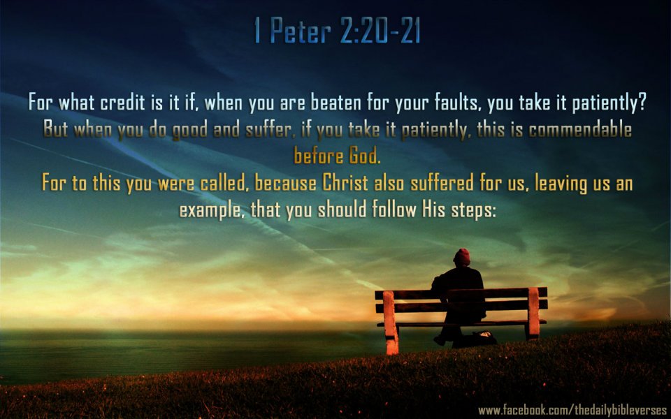 Daily Bible Verses 1 Peter 2 20 21 daily-bible-verses-1-peter-2-20-21