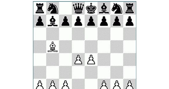 David Lonsdale's Chess Monographs: The Polish Defence: Spassky Gambit ...