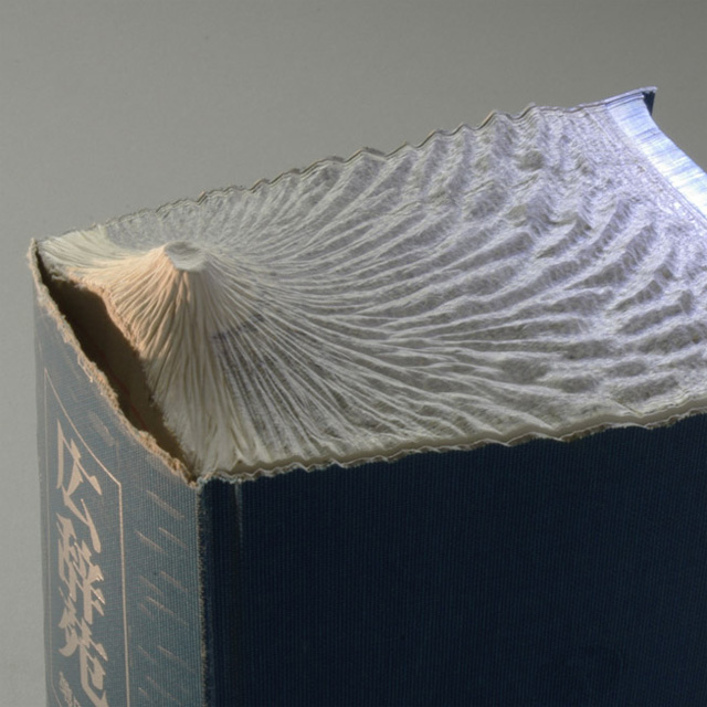 Wooden Spoon Editions: Inspirational Artists :: Carved Books