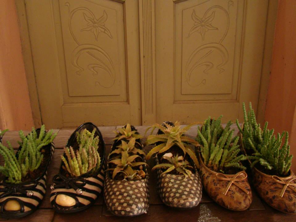 Nina Garimpa: Edgar Mai: biólogo do Jardim Lutzemberger e Sapato Florido