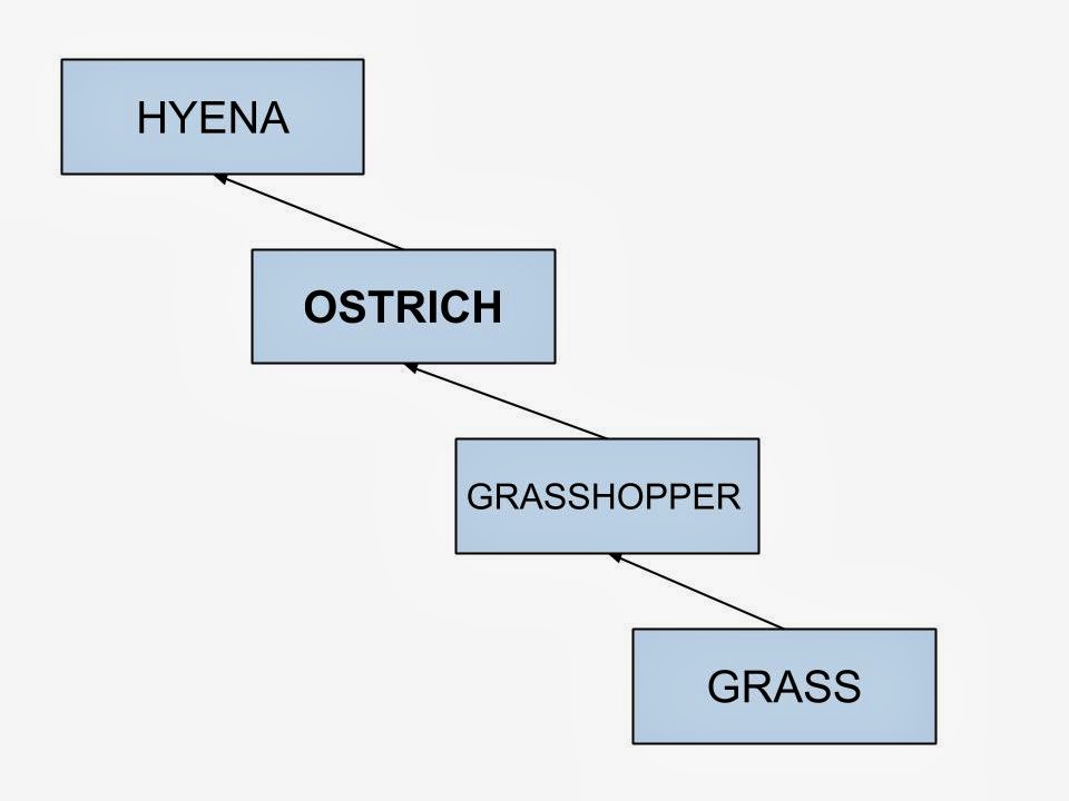 bio diversity: science project
