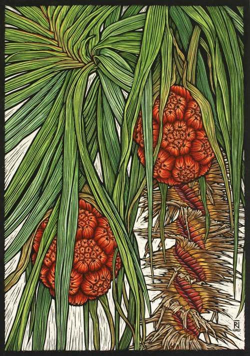 That's Inked Up: Rachel Newling's Exotic Australia