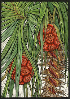 That's Inked Up: Rachel Newling's Exotic Australia