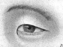 Amr Serag: Human races الاجناس البشريه insan ırkları Las razas humanas