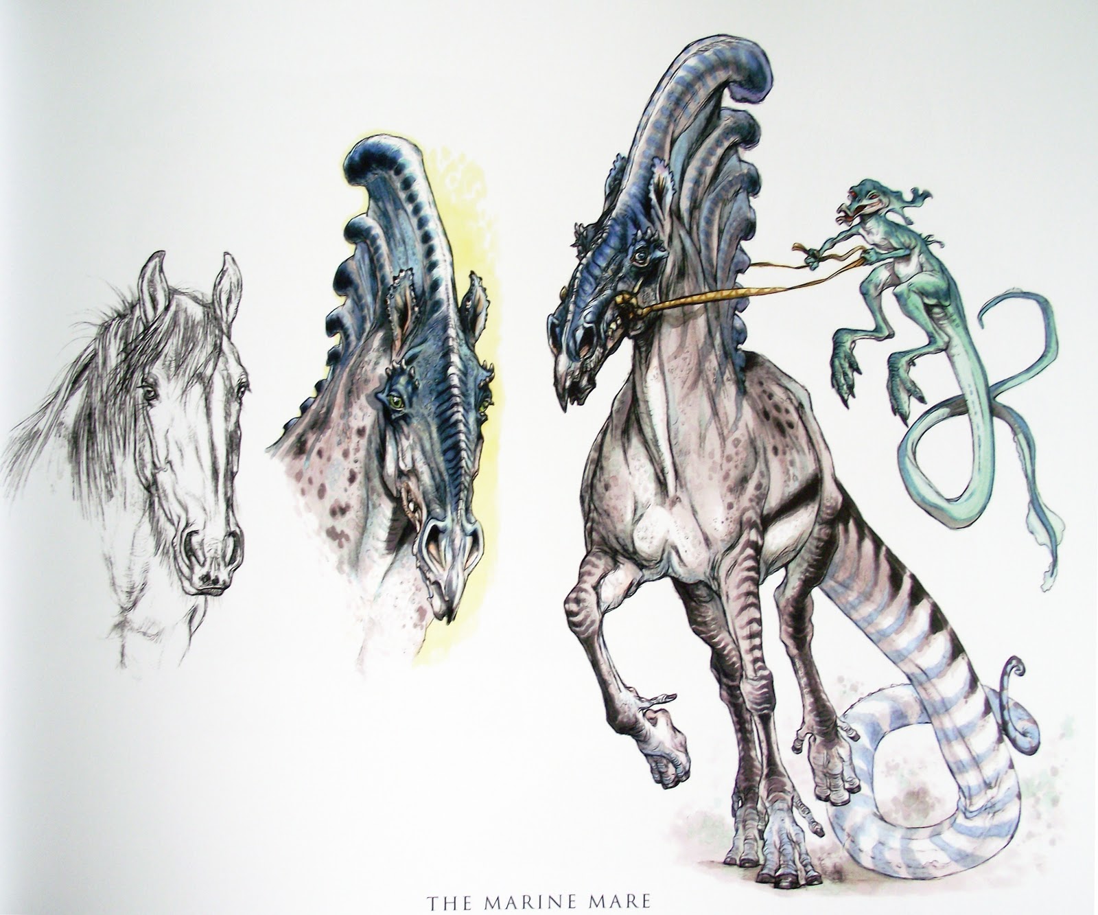 Steph's Creature Gallery: Inspiration