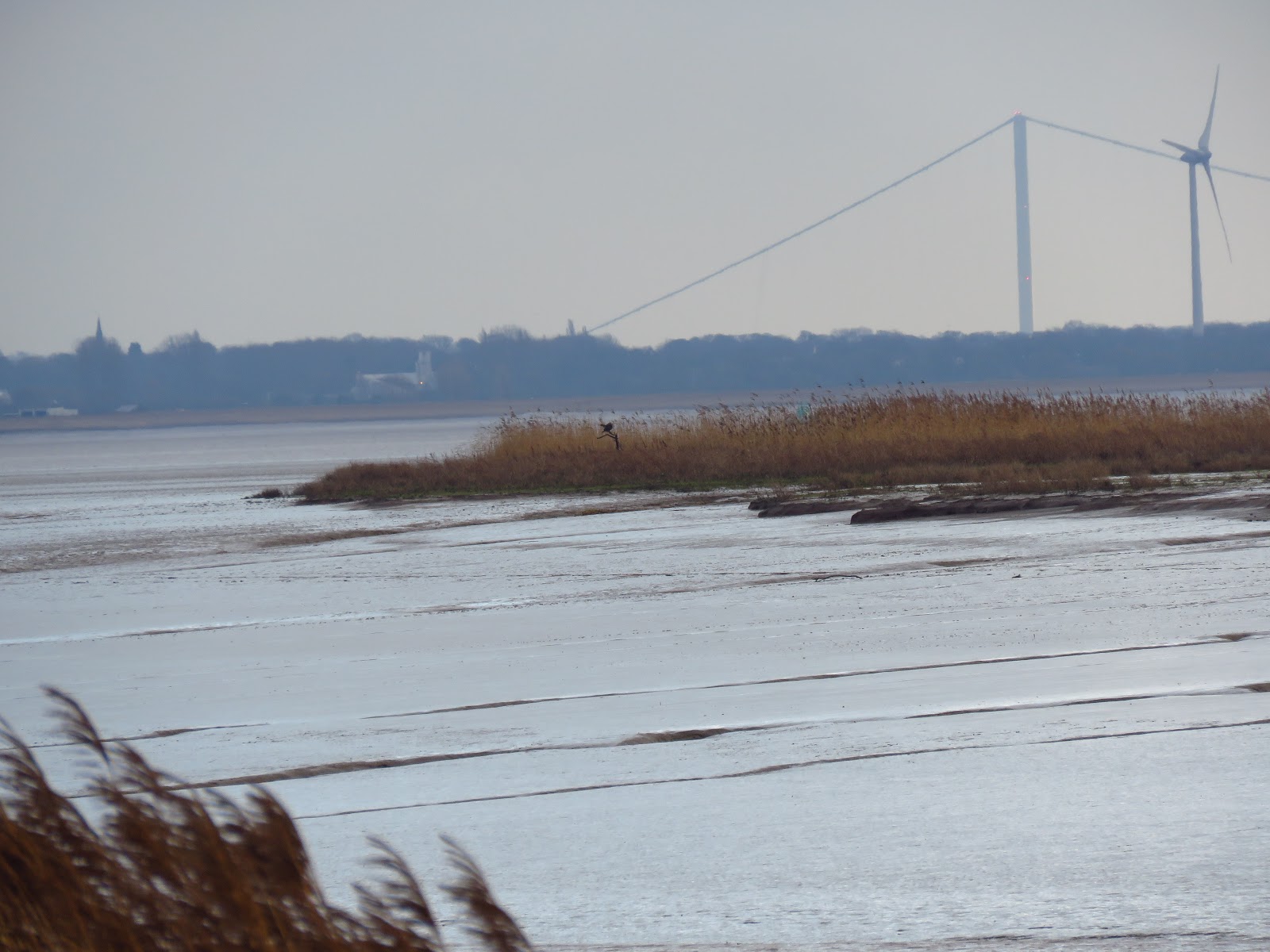 Wild at Hull: Walking the Humber. Stage 1. Faxfleet Ness to Broomfleet ...