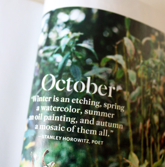 MARTHA MOMENTS: A Look Inside the Revamped October Issue