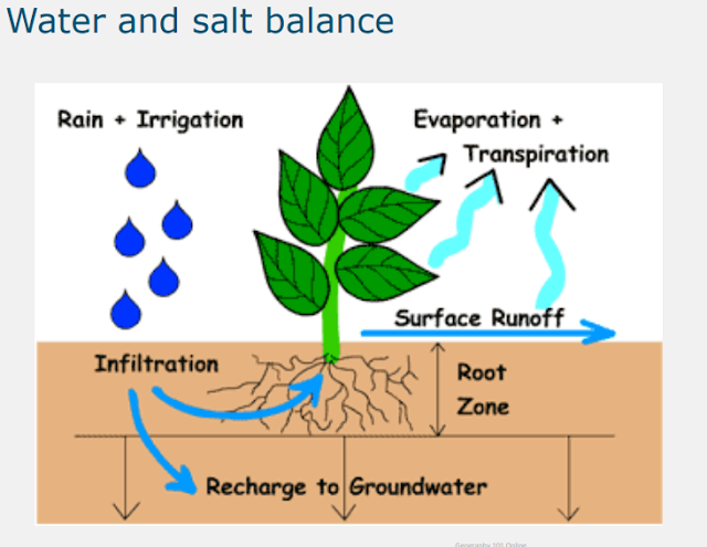 Prevention and Remediation of Saline Soils