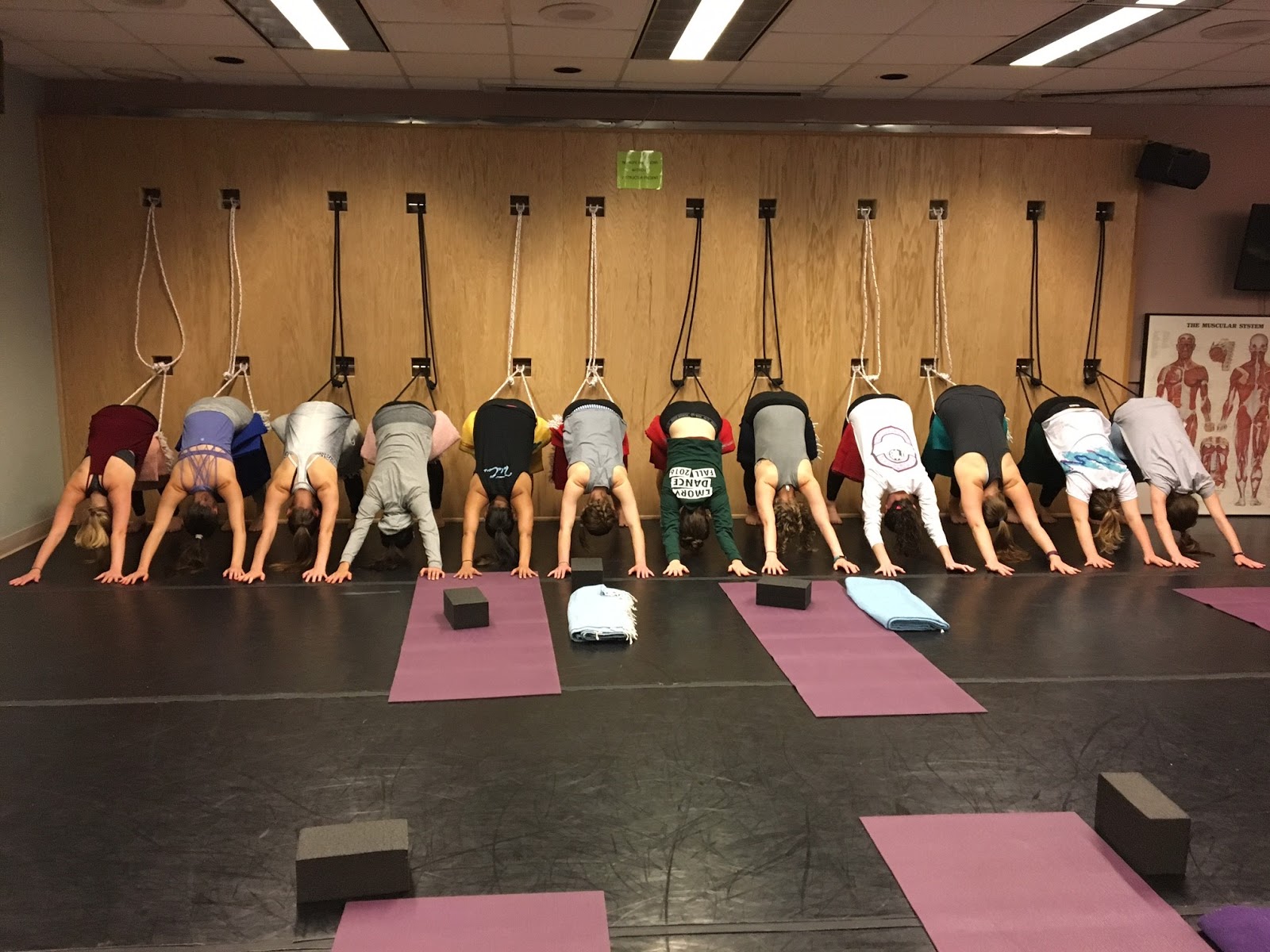 Emory Dance: Emory Dance's New Yoga Wall