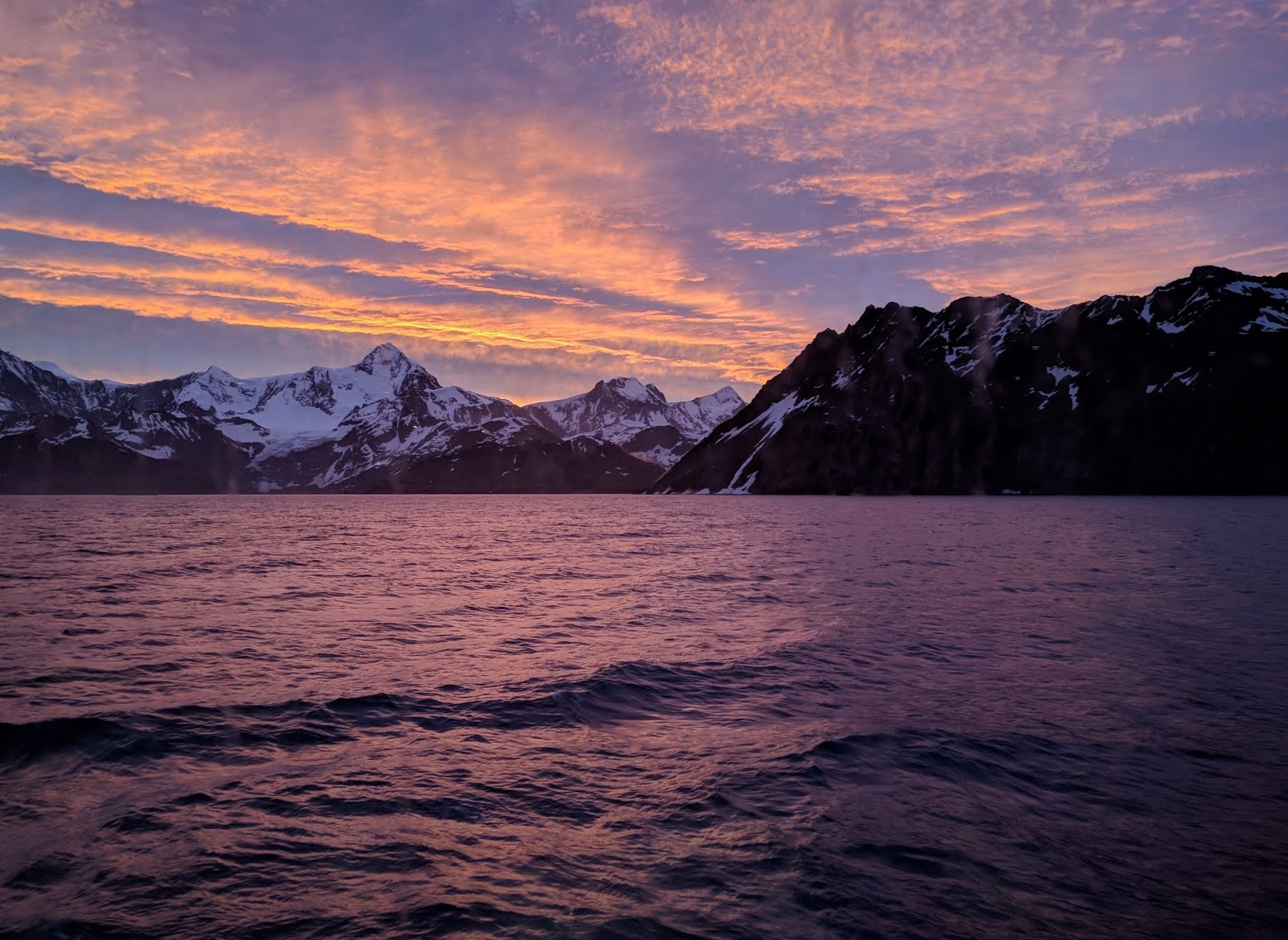 Bill's Excellent Adventures: South Georgia Island