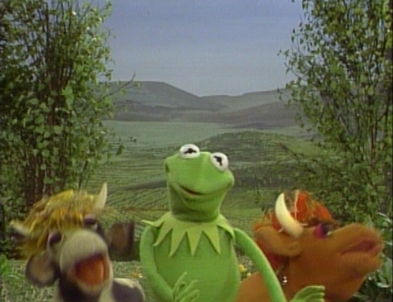 My Cartoon Reviews: Count it Higher: Great Music Videos from Sesame ...