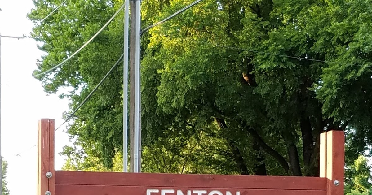 Play St. Louis: Fenton City Park, Fenton