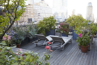 Bilal Mirza's World: 21 Beautiful Terrace Garden Images You should Look ...