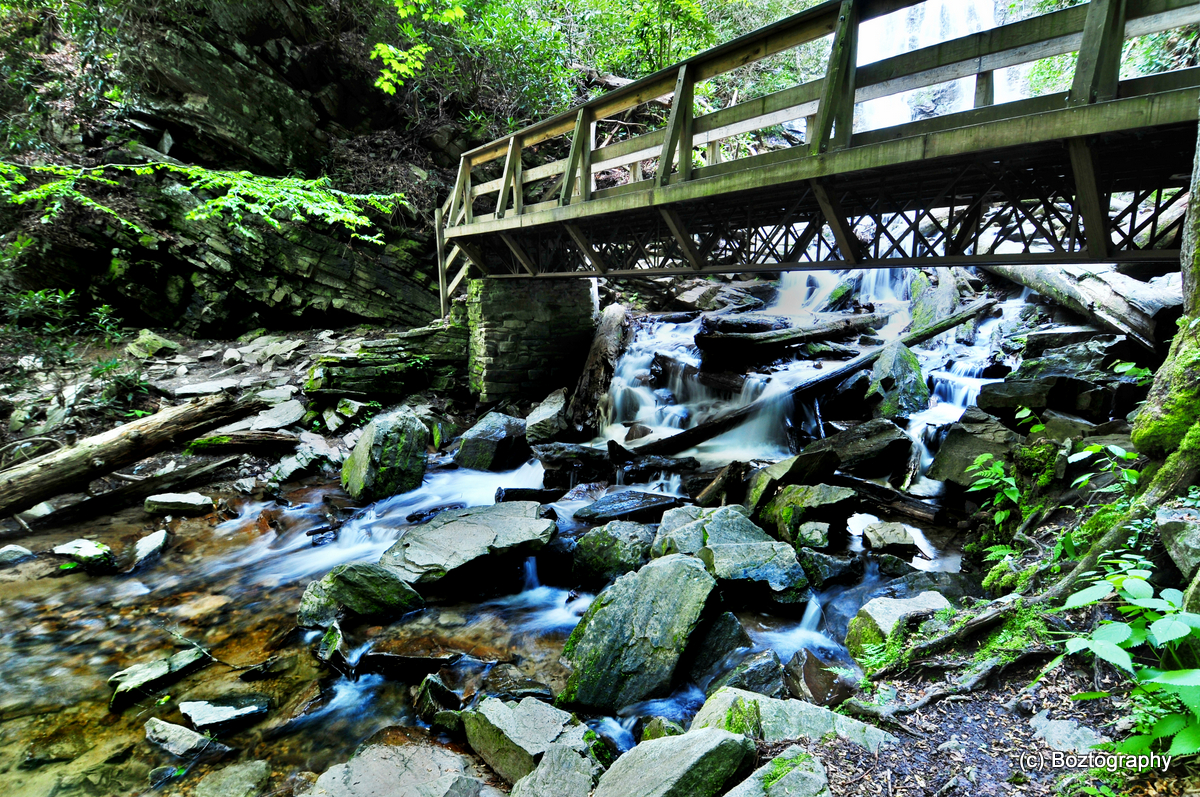 Boztography+: Mingo Falls @ Great Smoky Mountain National Park
