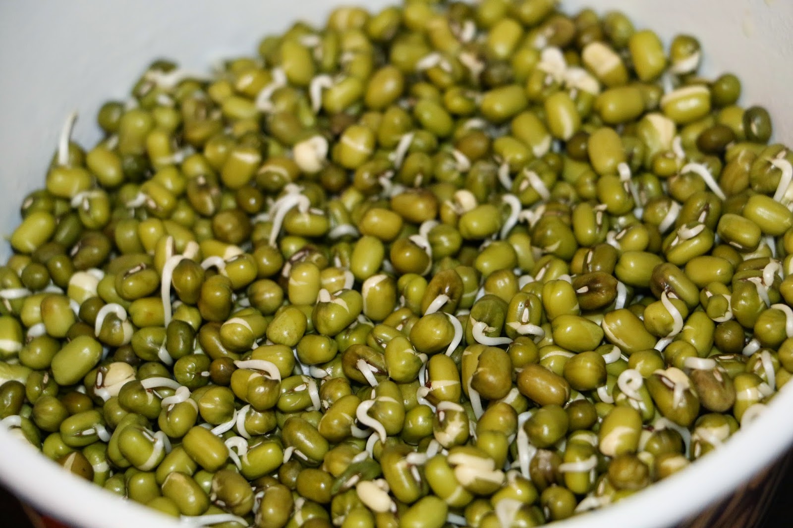 yummy delight for u: Sprouting Moong/Mung beans, How to Sprout Moong ...