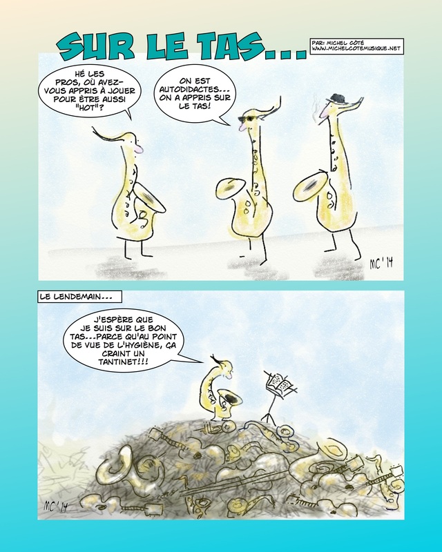 Comment ça se dit en français?: apprendre sur le tas