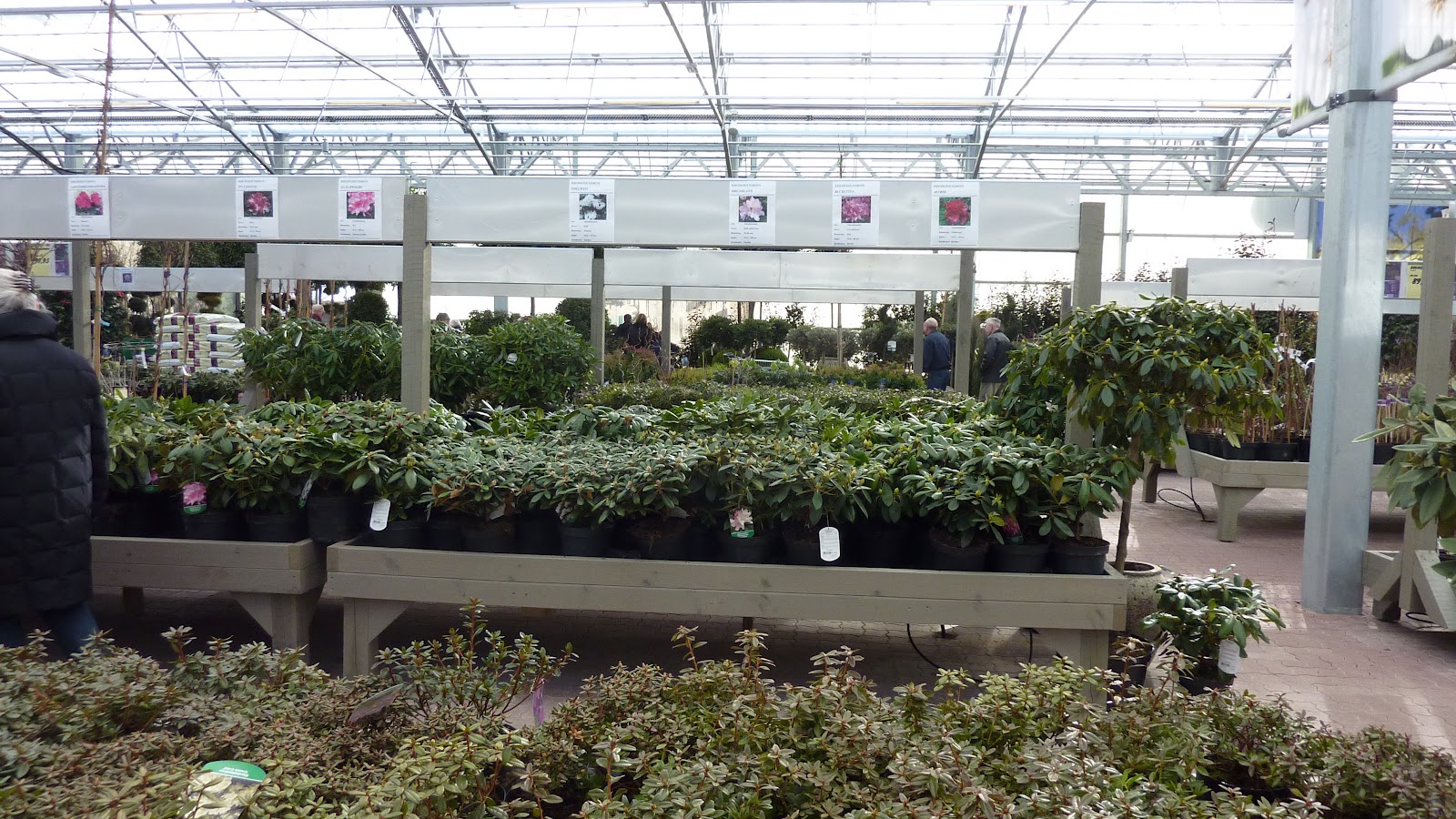 EE: En tur i Plantorama