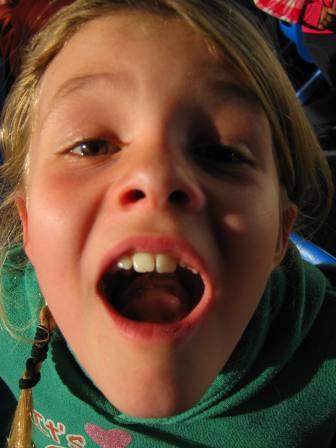 Room 4 Lawrence Area School 2011: Foaming at the Mouth - Sherbet