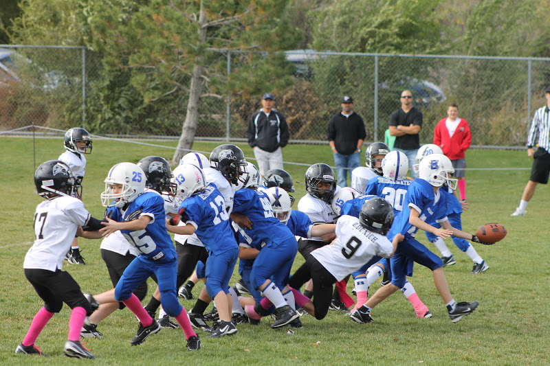 Twelve Makes a Dozen: Little League Football