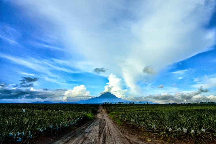 10 Must-Visit Places in SOX (SOCCSKSARGEN) | SOCCSKSARGEN, Philippines ...