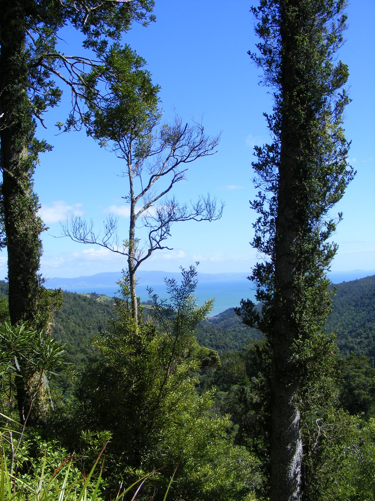 The Life and Adventures of Mel: Crosbie's Hut: Weekend Tramp