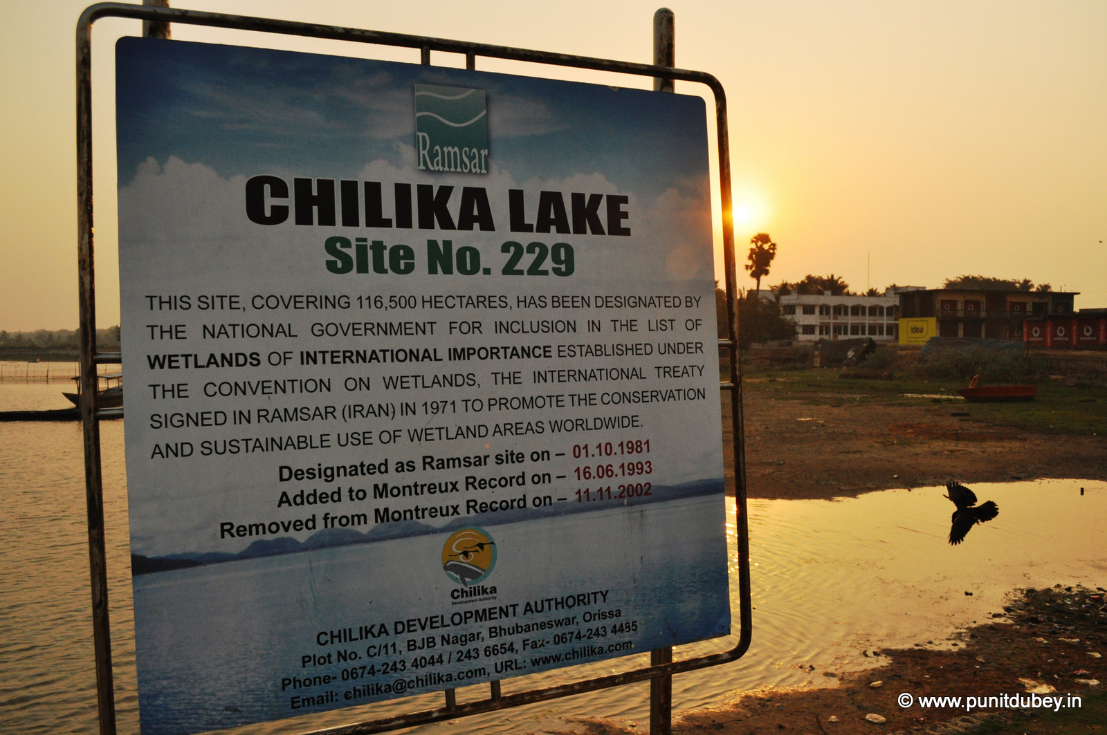 An evening in the Chilika Lake