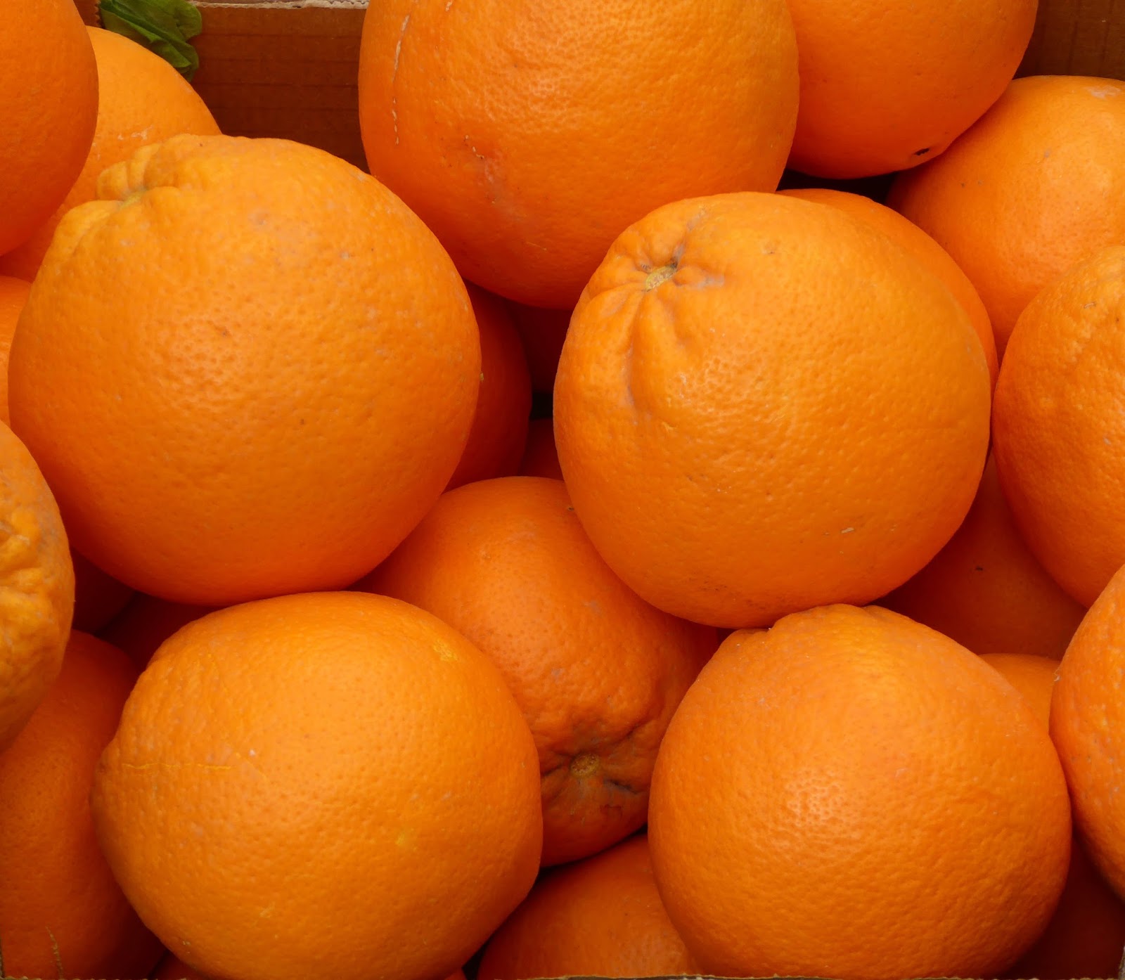 Econaranjas el Molino: Comprar Naranjas