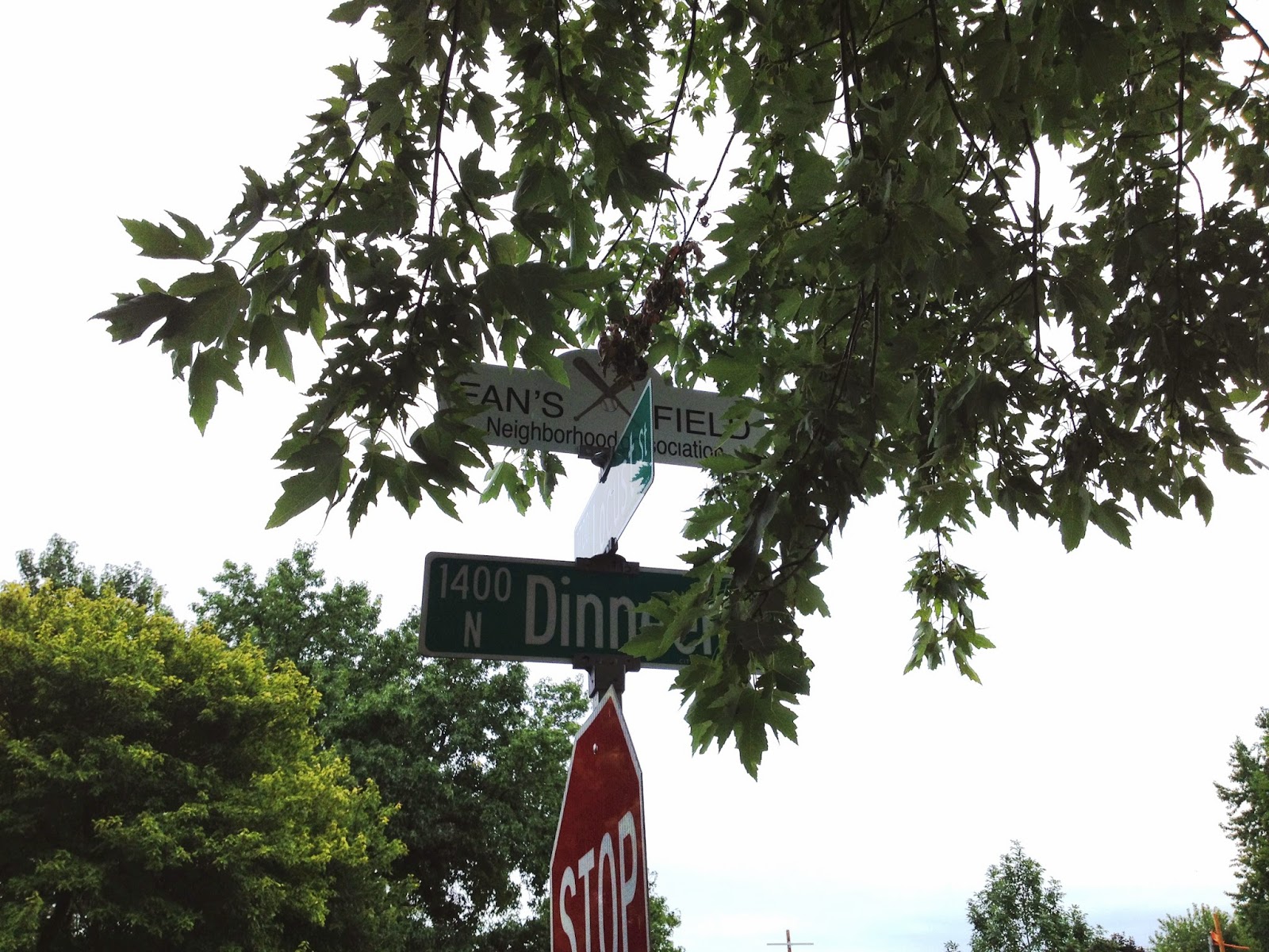 Decatur Baseball: Fans Field and More