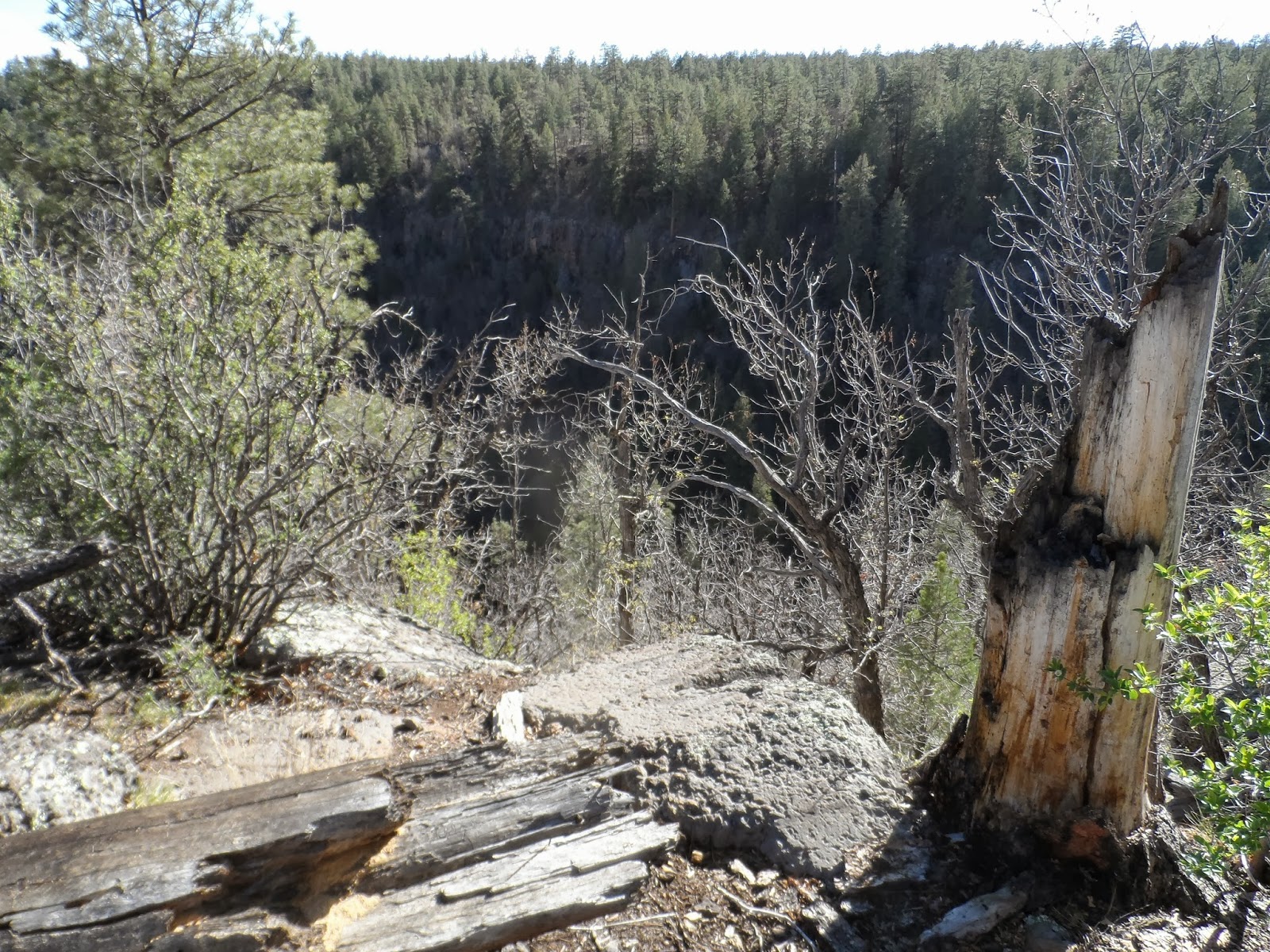 A Simple Catholic: Sycamore Canyon Overlook Trail, Williams, Arizona