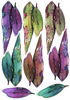 MIXED MEDIA SCRATCH ART - Frogs