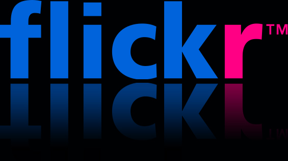 No Cookies In The Library: Flickr and Pinterest: Photo Sharing (Thing 5)