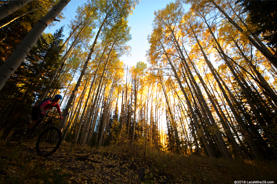 The vortex. | Mountain Bike Reviews Forum