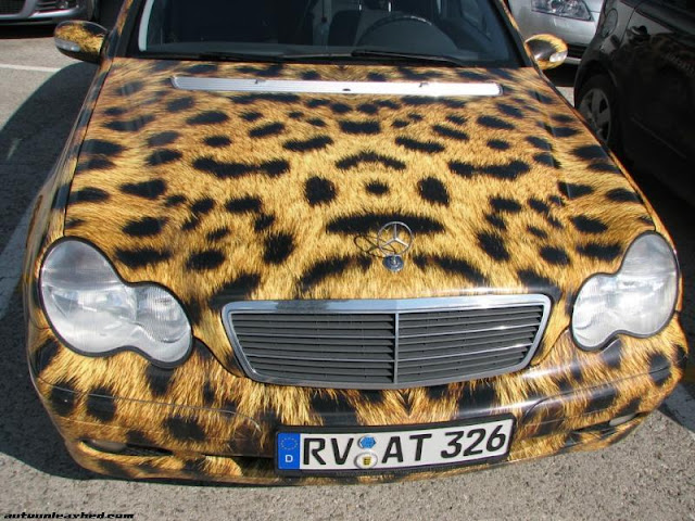 Tiger Painted Car