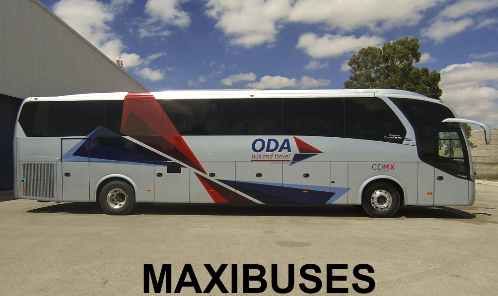 MAXIBUSES: OMNIBUS DE ALBA (TURISMO) - NUEVAS UNIDADES