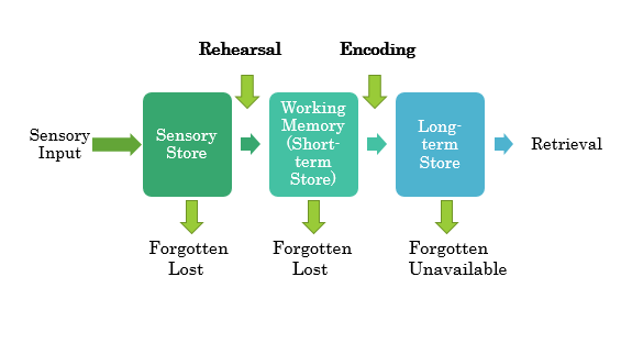 The Awakener: CB: Session 8D : Cognitive Learning