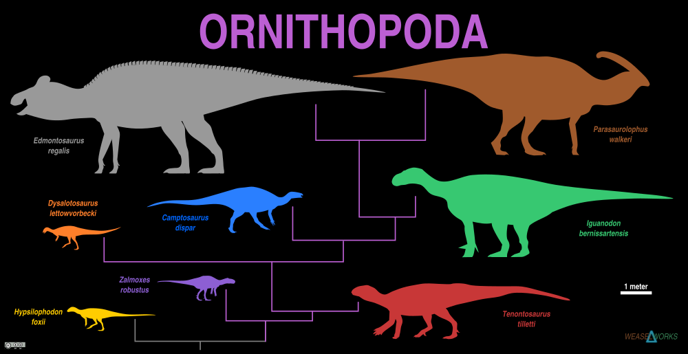 Wikipedia:WikiProject Dinosaurs/Image review/Archive September 2018 ...