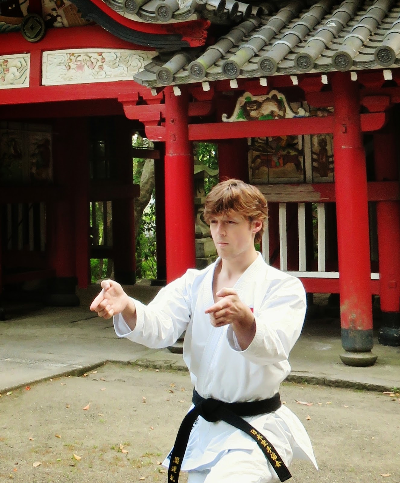 André Bertel's Karate-Do: Unsu Kata: A generic outline